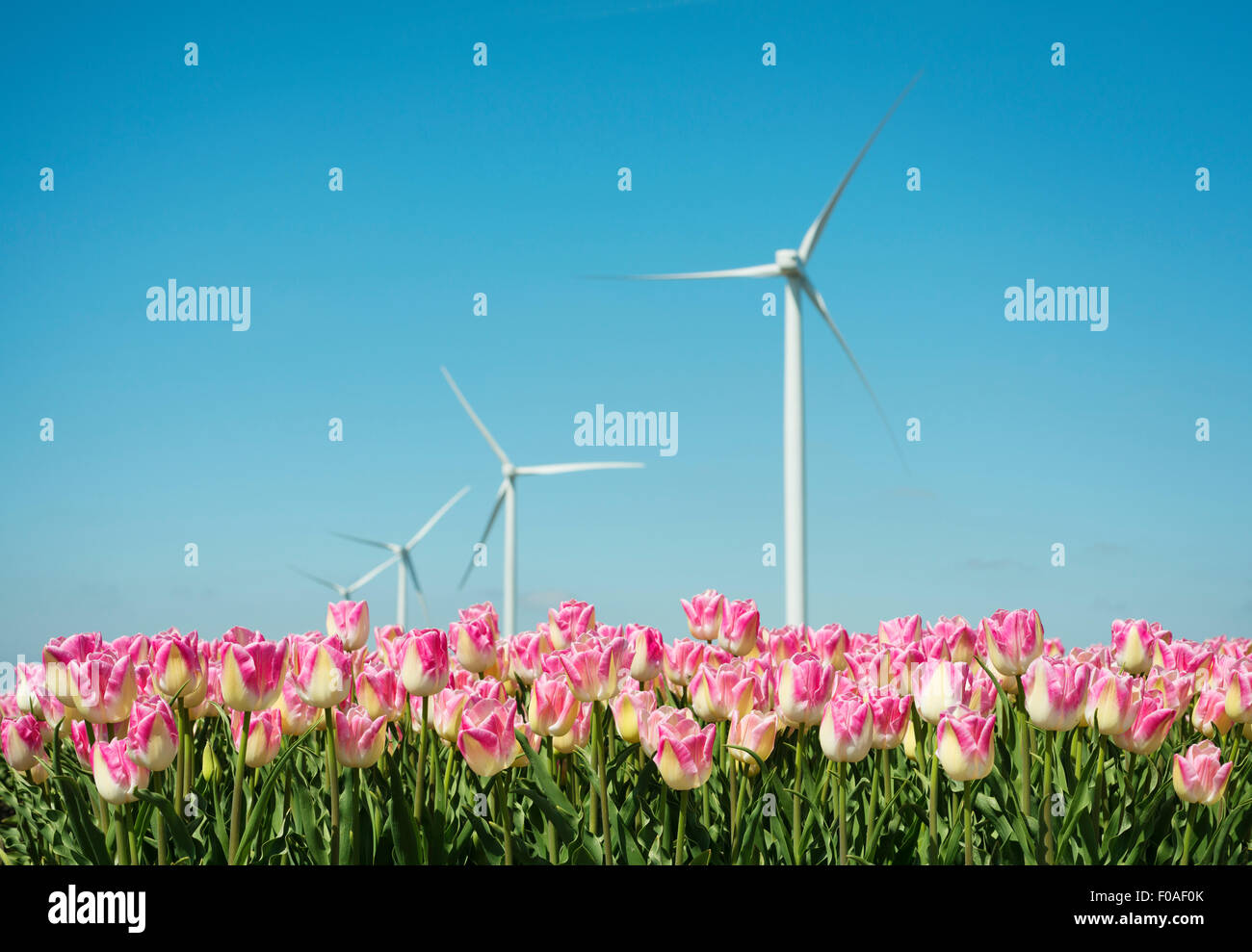 Power of natu hi-res stock photography and images - Alamy