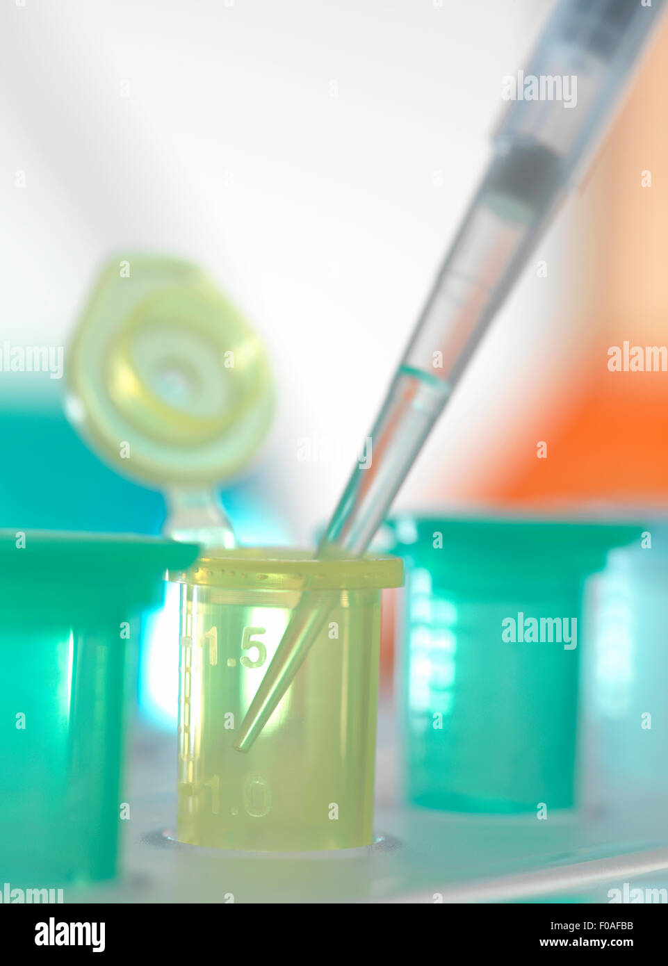 Pipette adding sample to eppendorf tube in a laboratory Stock Photo - Alamy