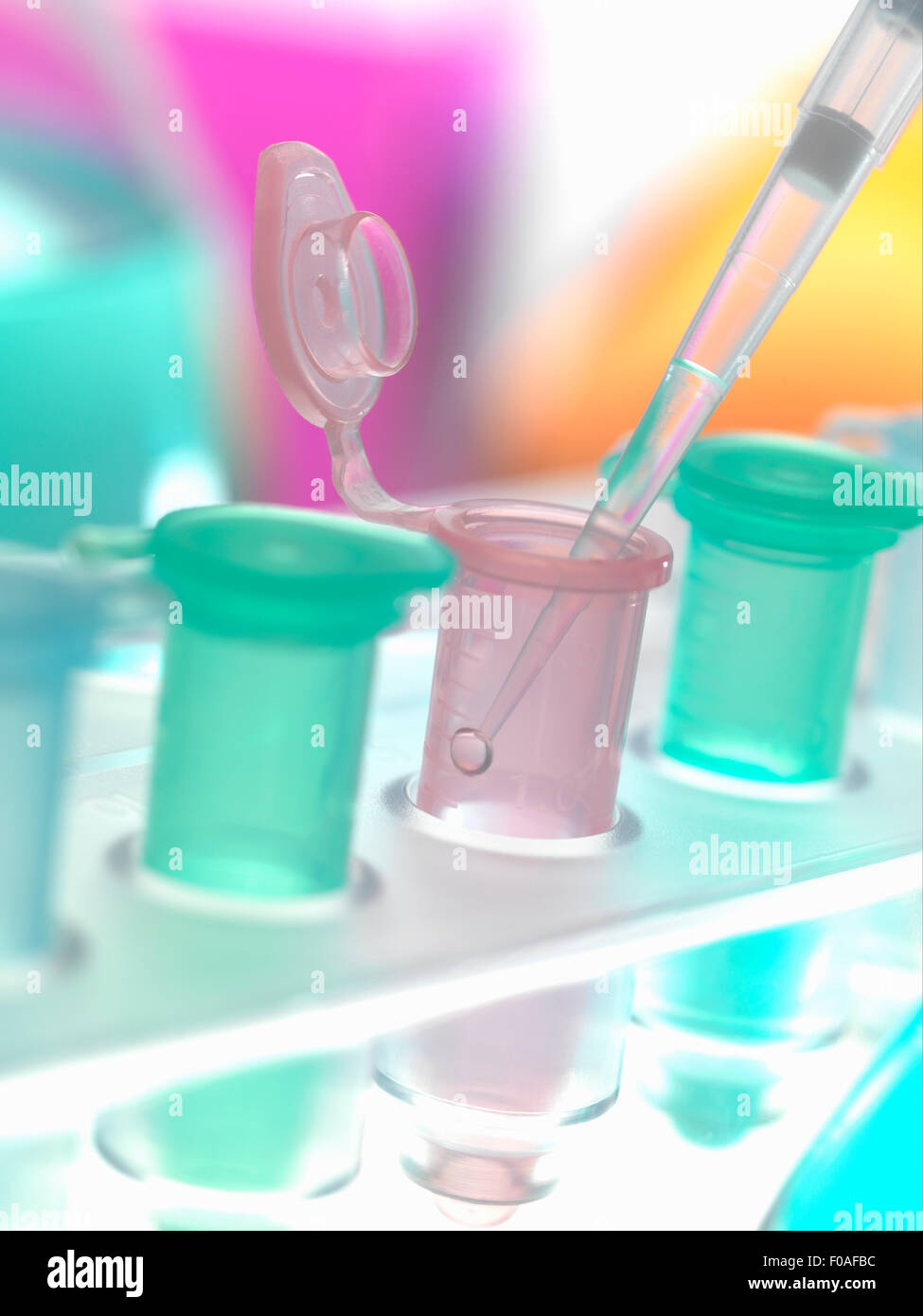 Pipette adding sample to eppendorf tube in a laboratory Stock Photo - Alamy