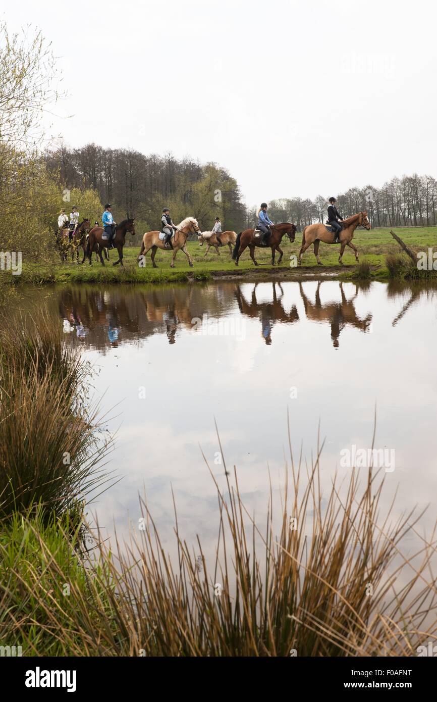 Group of young riders on horse near lake Stock Photo - Alamy