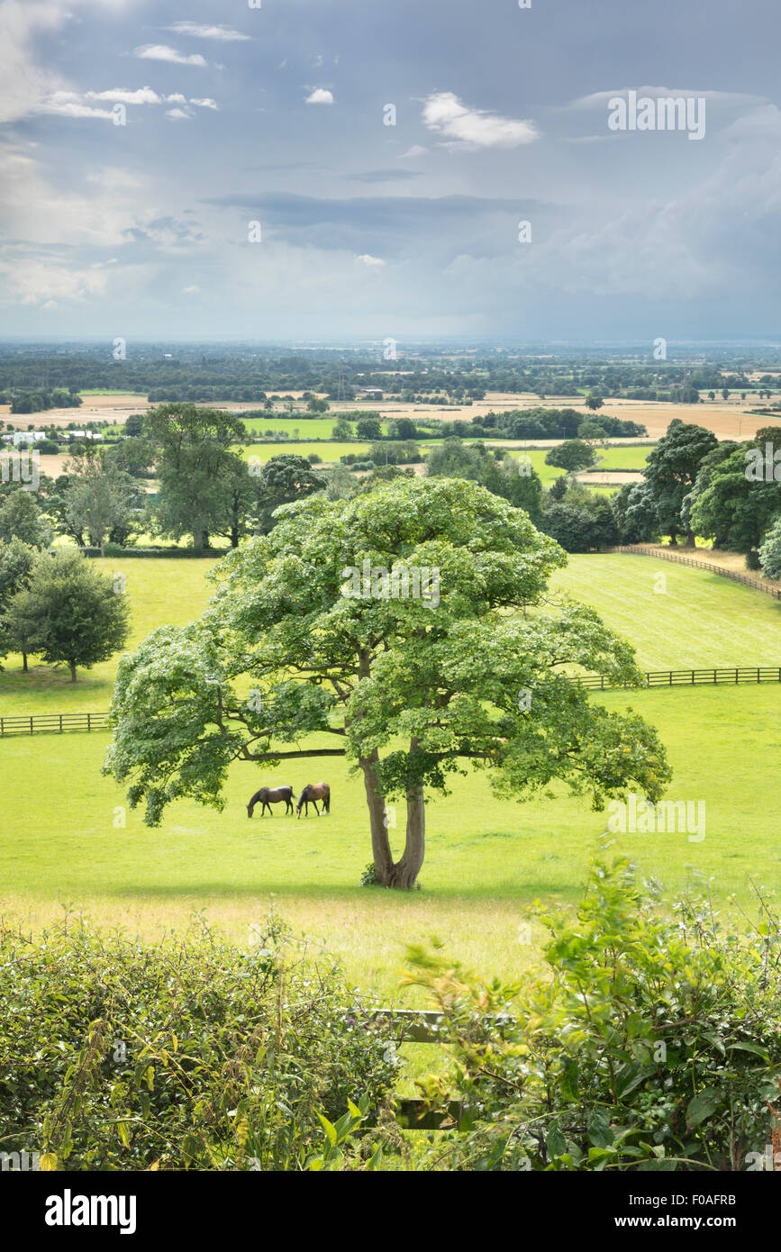 The Vale of York from Crayke village in North Yorkshire, August 2015 ...