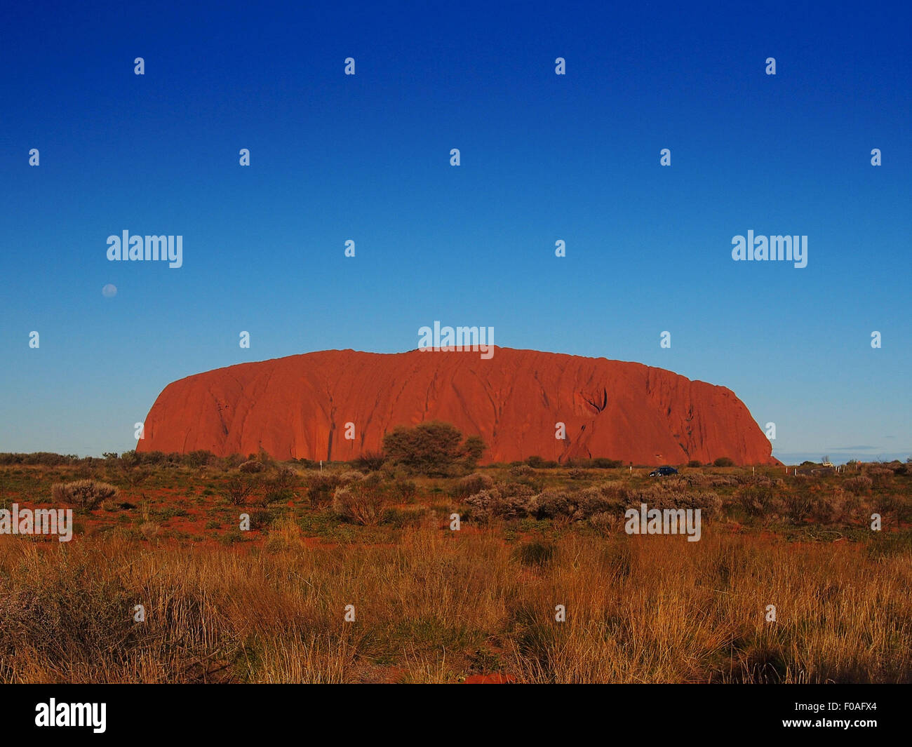 Uluru, Ayers Rock, Australia, Sunrise, Desert Stock Photo - Alamy