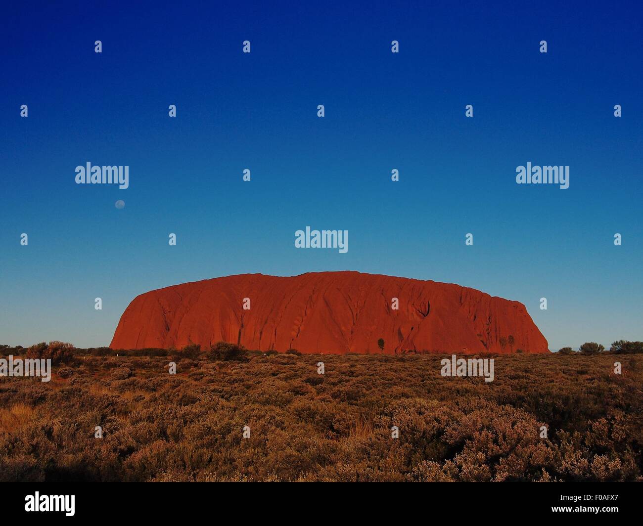 Uluru, Ayers Rock, Australia, Sunrise, Desert Stock Photo - Alamy