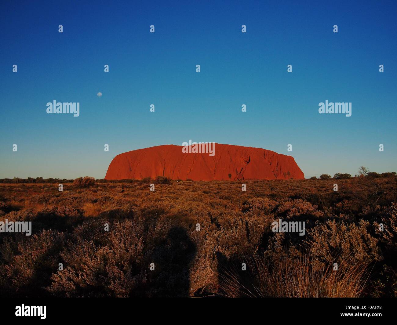 Uluru, Ayers Rock, Australia, Sunrise, Desert Stock Photo - Alamy