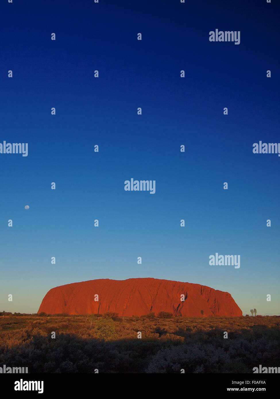 Uluru, Ayers Rock, Australia, Sunrise, Desert Stock Photo - Alamy