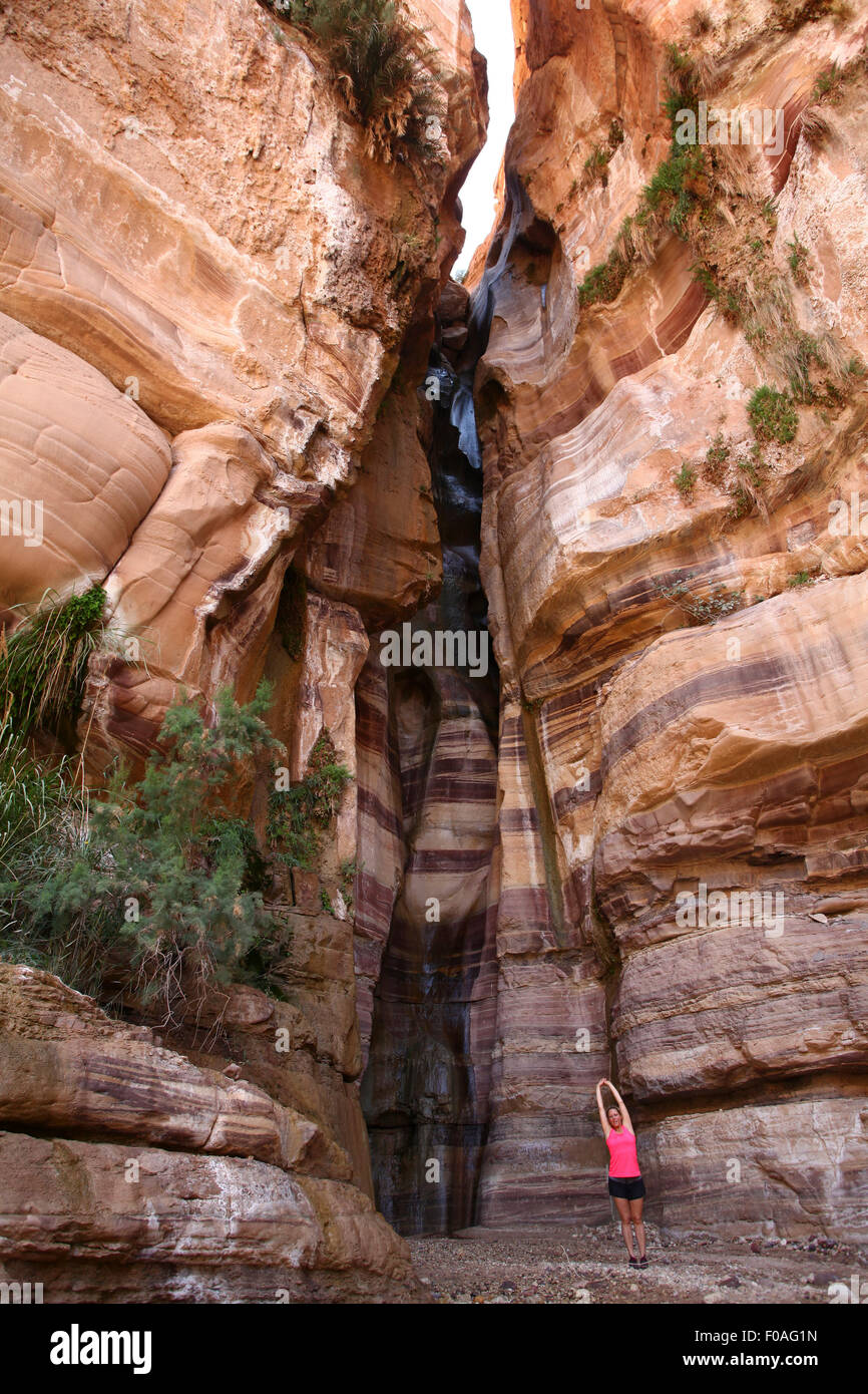 Wadi Zered High Resolution Stock Photography and Images - Alamy