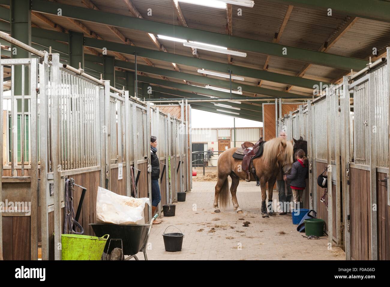 Two women standing in a stable with horse, Germany Stock Photo - Alamy