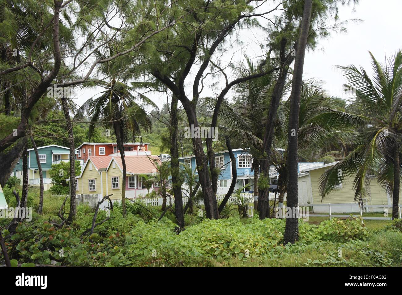 View of house with people at Lesser Antilles, Caribbean island ...
