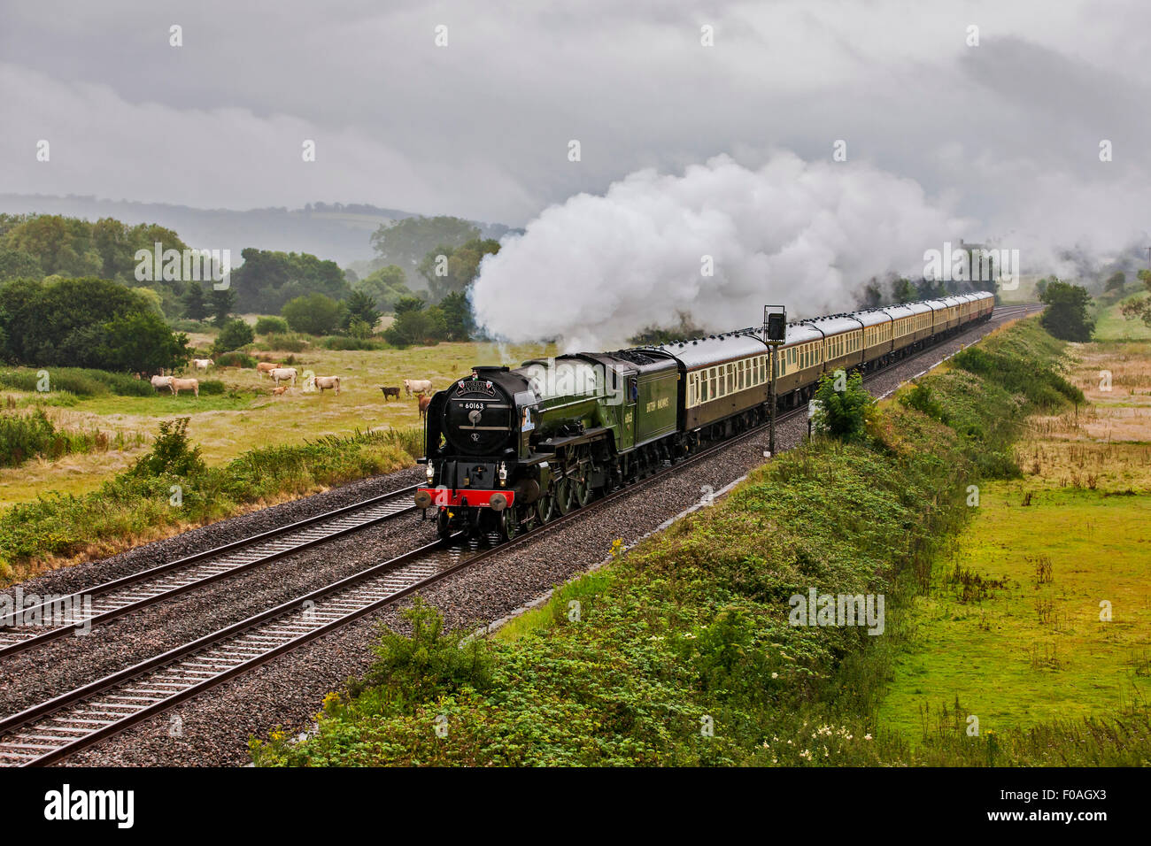 Torbay express steam train hi-res stock photography and images - Alamy