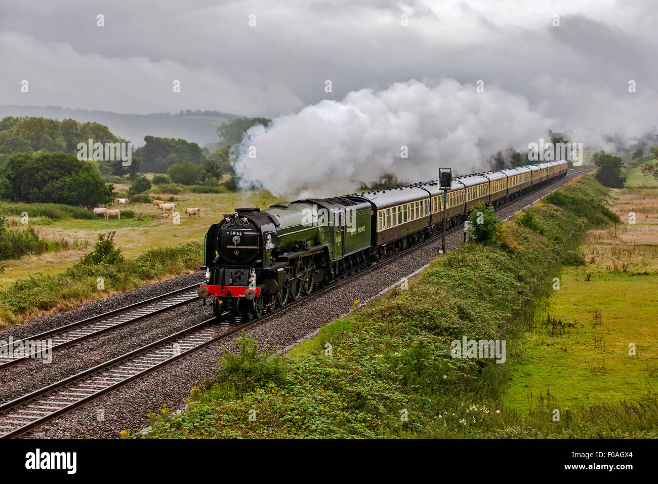 Exeter steam engine hi-res stock photography and images - Alamy