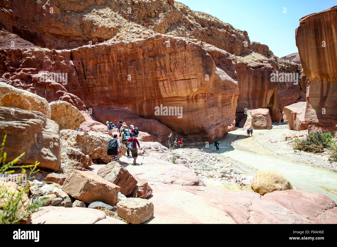 Wadi Zered (Wadi Hassa or Hasa) in western Jordan. A sand stone canyon ...