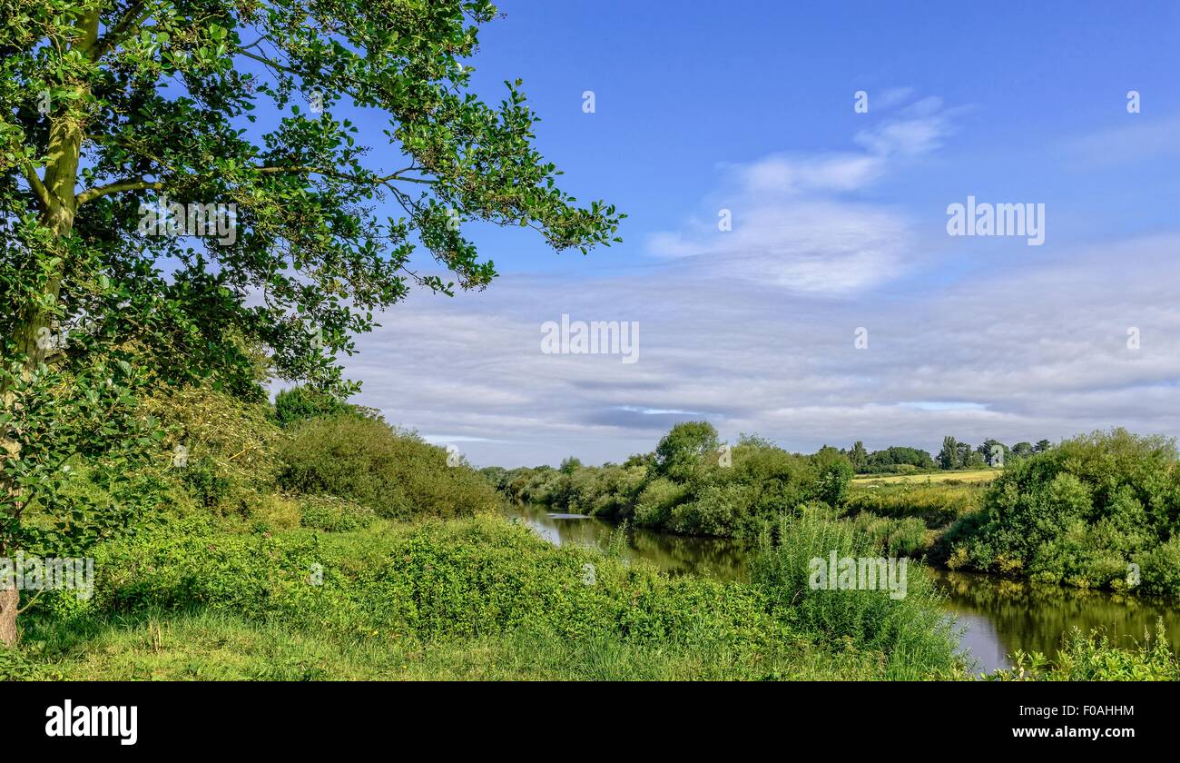 Landscape of a river and field with overarching tree in the foreground ...