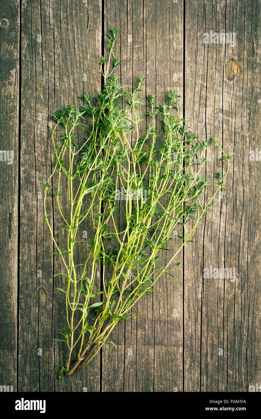 Savory plant hi-res stock photography and images - Alamy