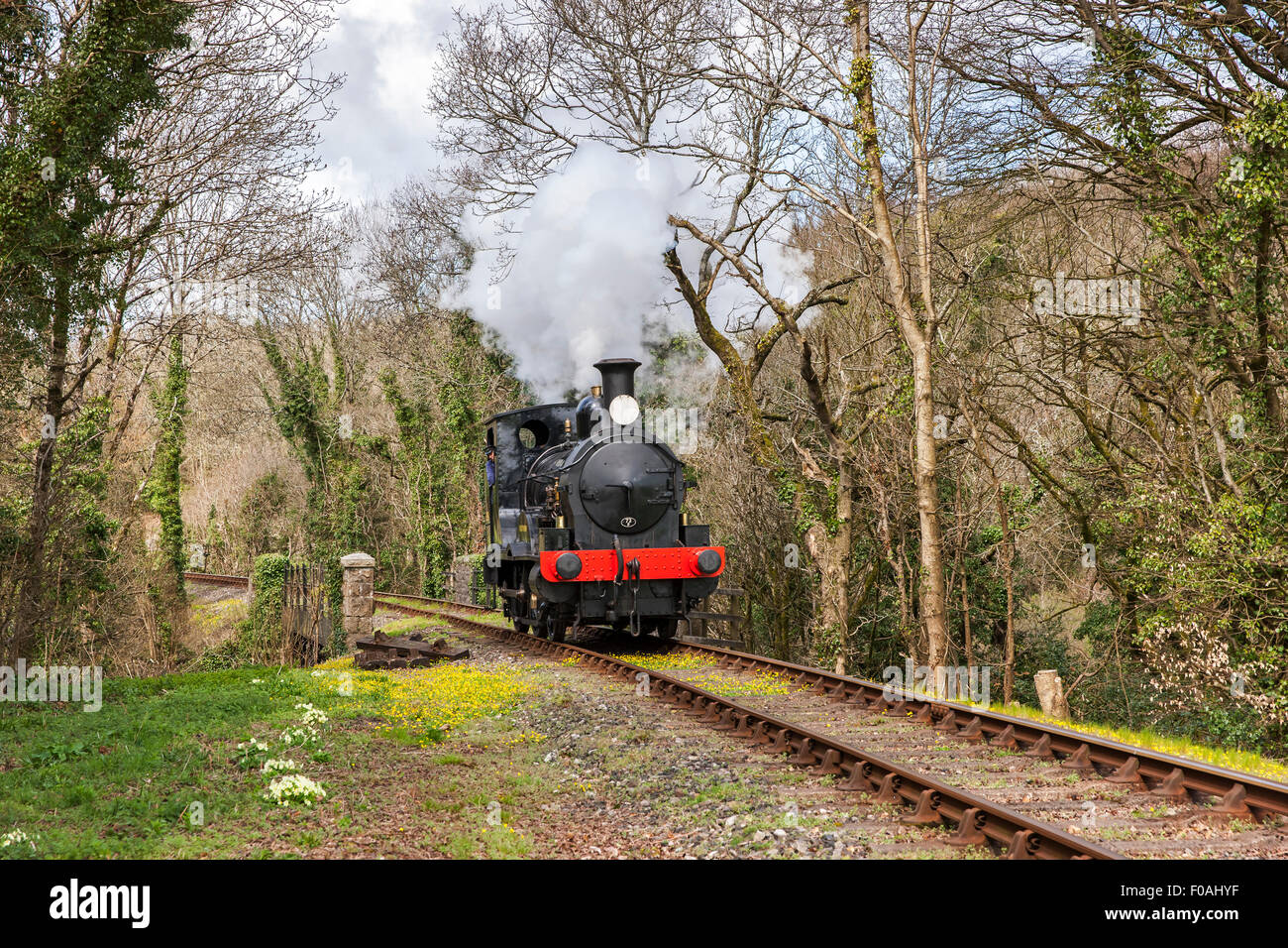 Bodmin Light Railway High Resolution Stock Photography and Images - Alamy