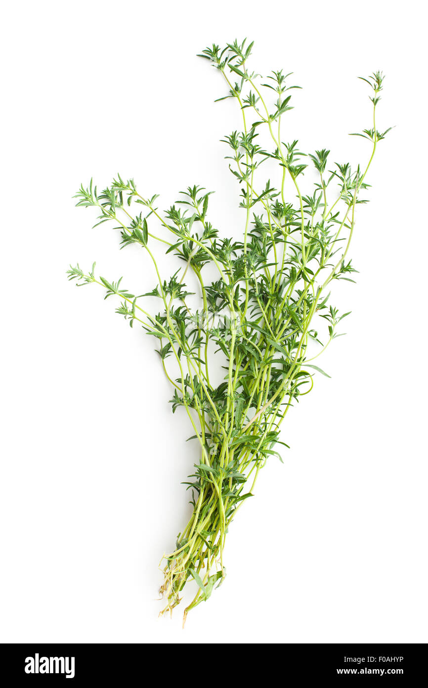 Fresh savory bunch on white background Stock Photo - Alamy