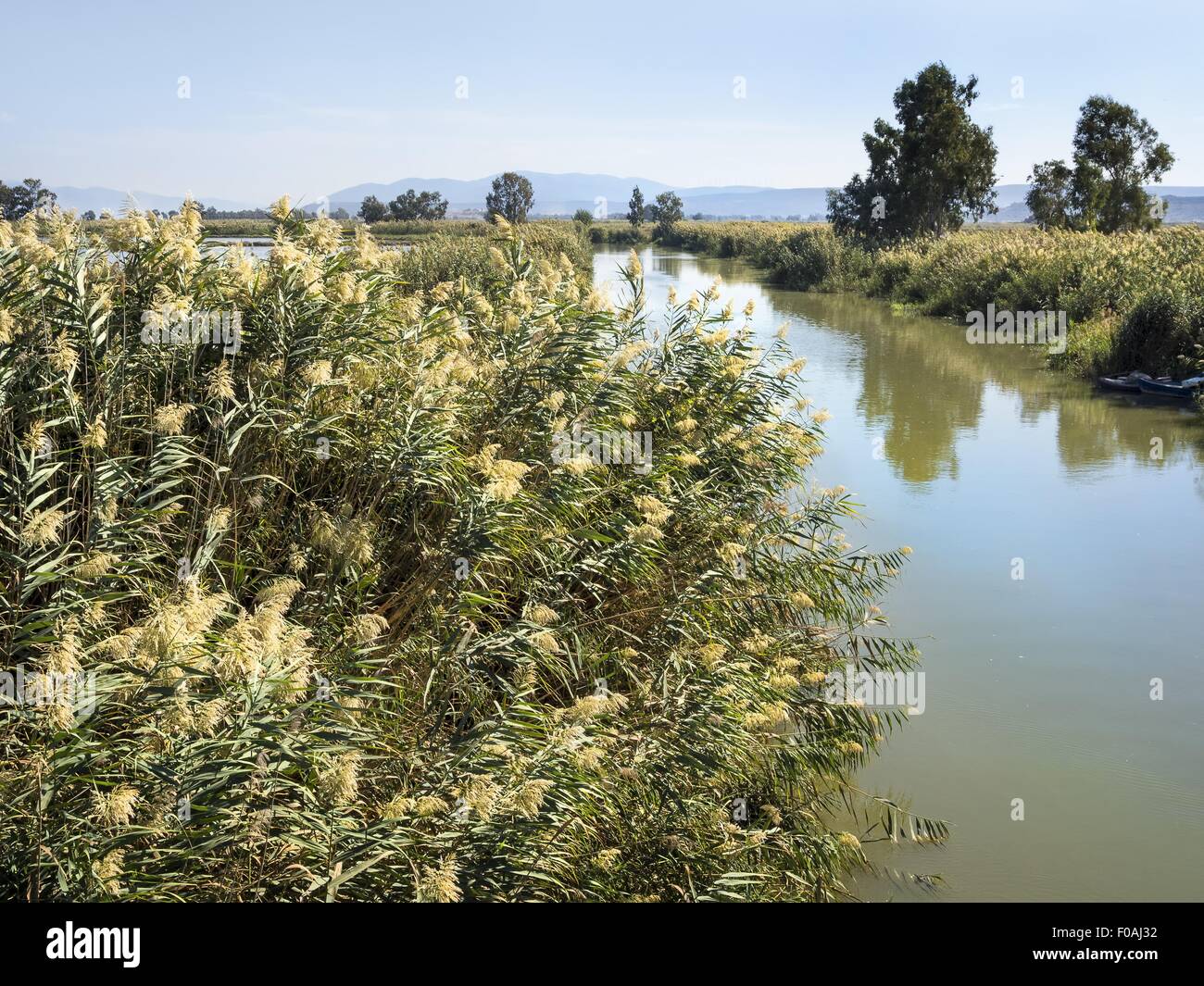 Meander river turkey hi-res stock photography and images - Alamy