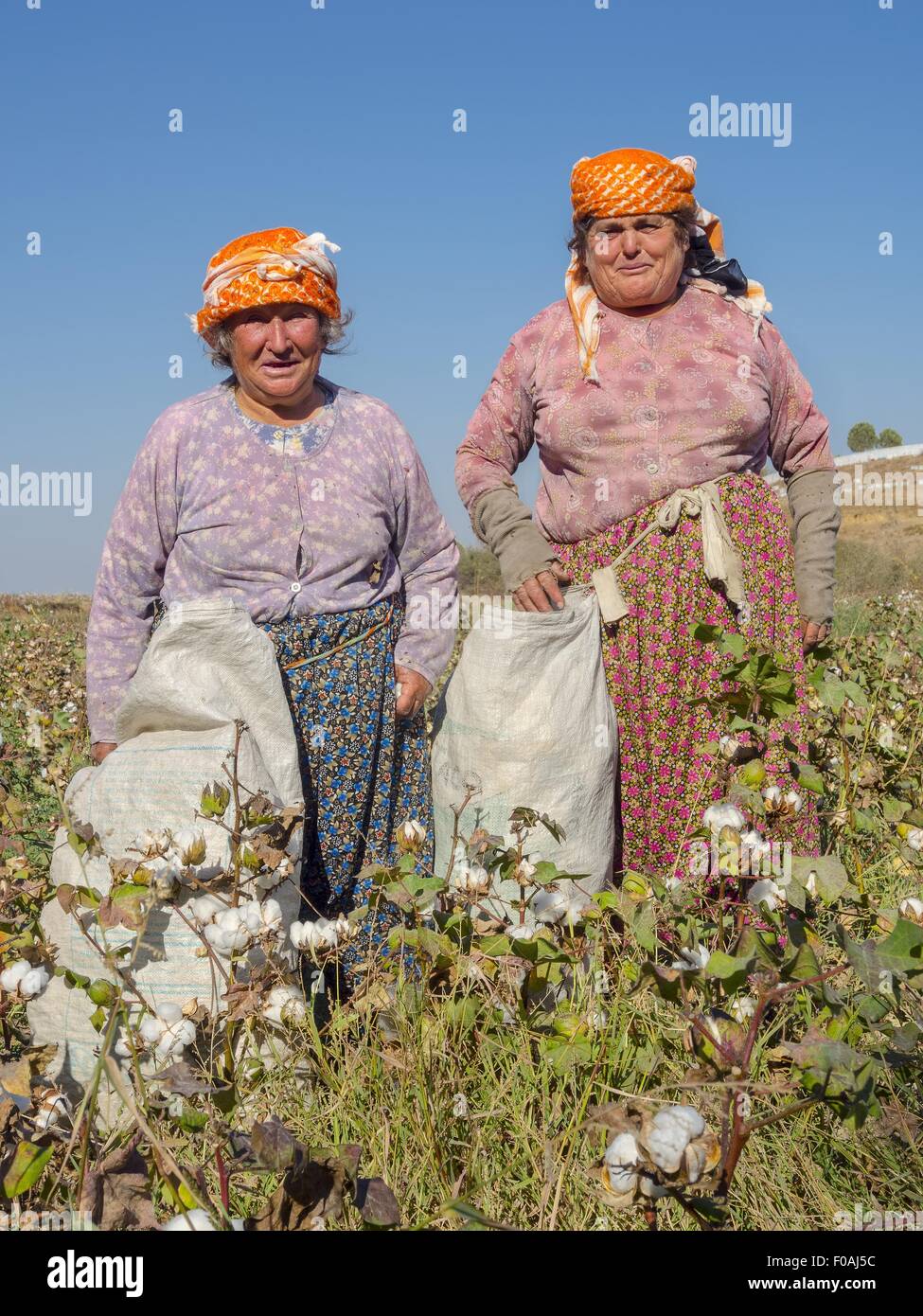 Two cotton picker women standing near field in Turkey Stock Photo - Alamy