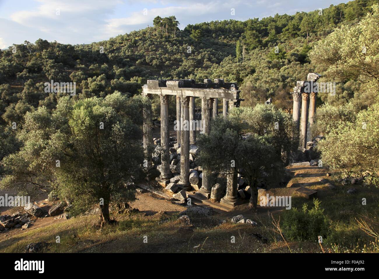 View of temple of Zeus in Euromos, Aegean, Turkey Stock Photo - Alamy
