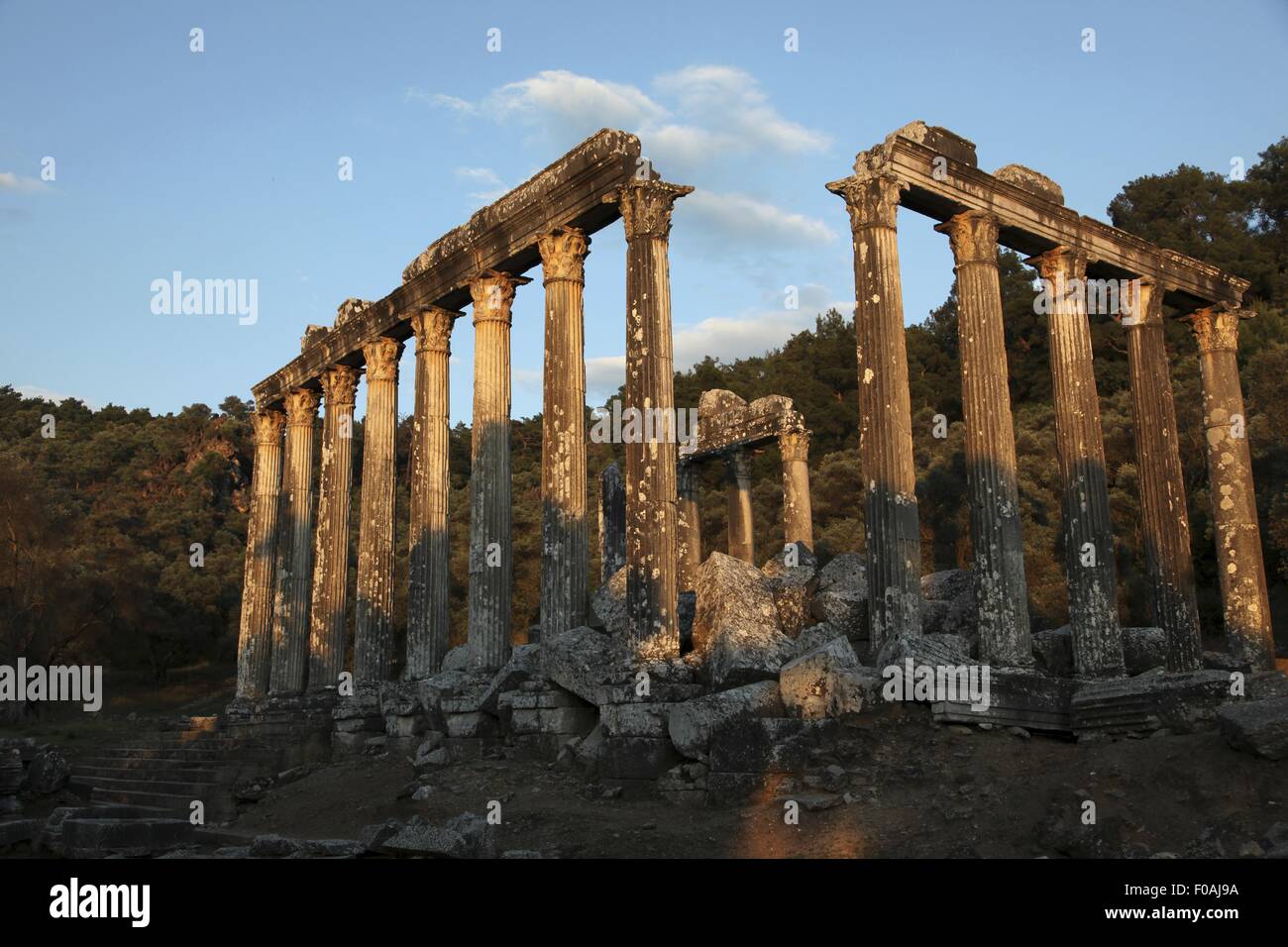 Ruins of Temple of Zeus at Euromos in Aegean, Turkey Stock Photo - Alamy