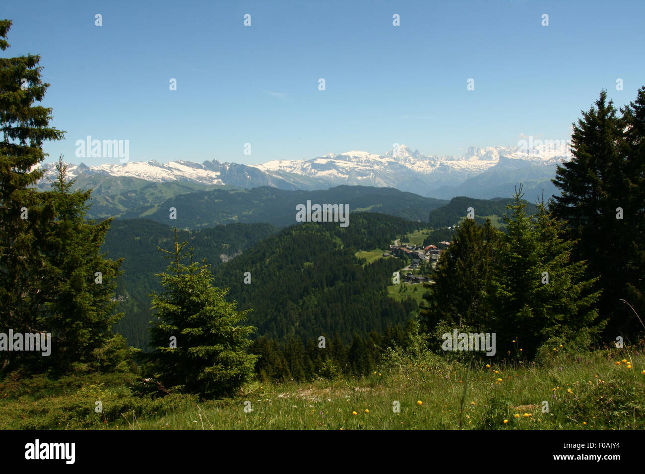 Alpine in Spring , Alpine view Stock Photo - Alamy