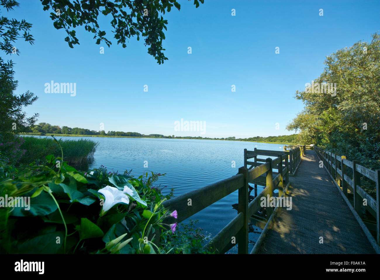 Filby hi-res stock photography and images - Alamy