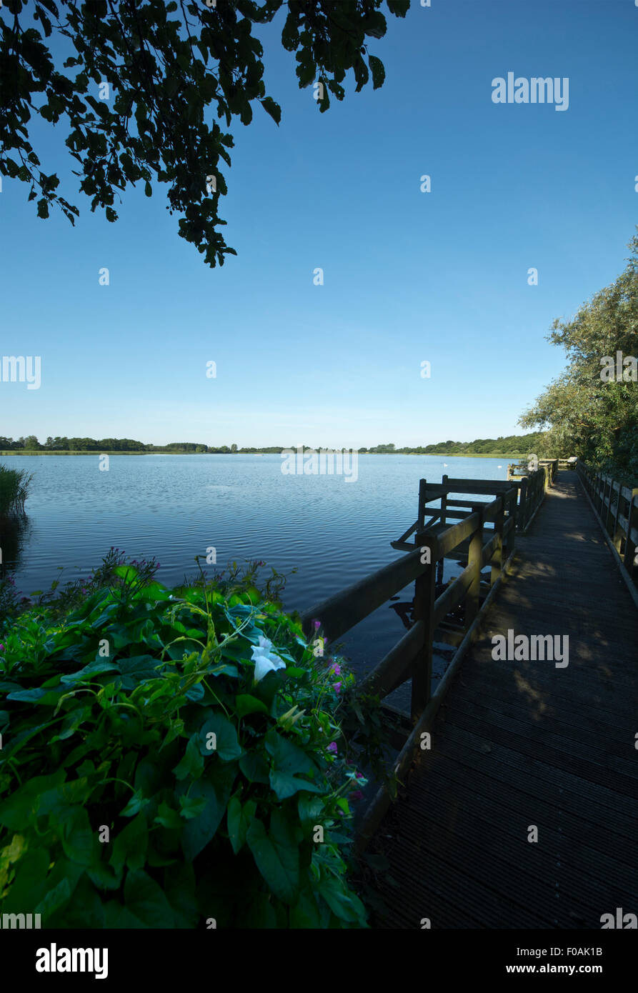 Filby hi-res stock photography and images - Alamy