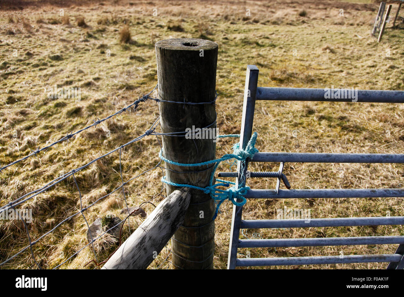 Farm gate secured with rope Stock Photo - Alamy