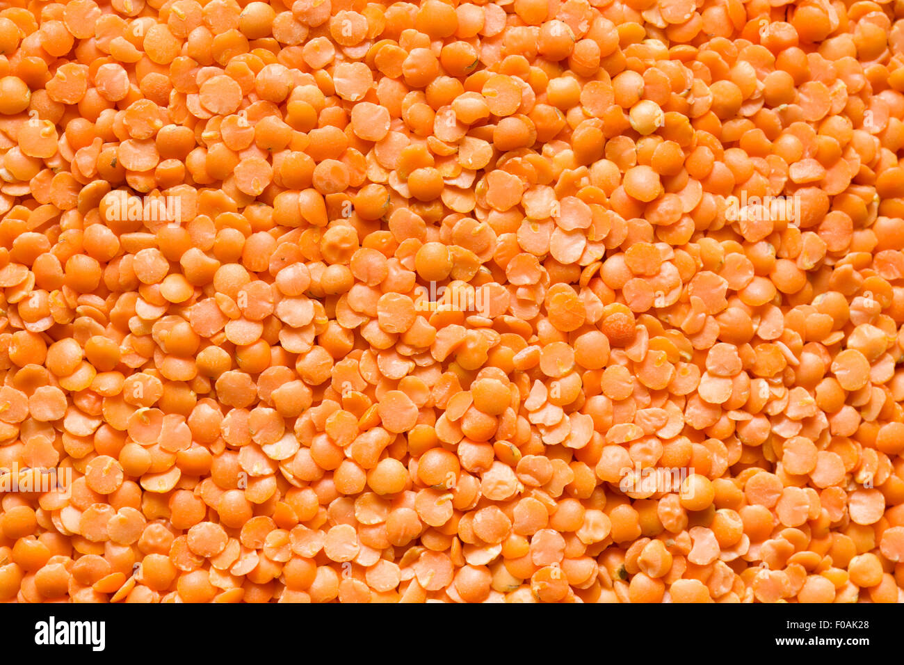 the pattern of red lentils Stock Photo - Alamy