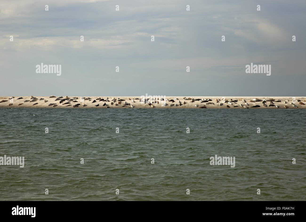 View of Fano Beach, Denmark Stock Photo - Alamy