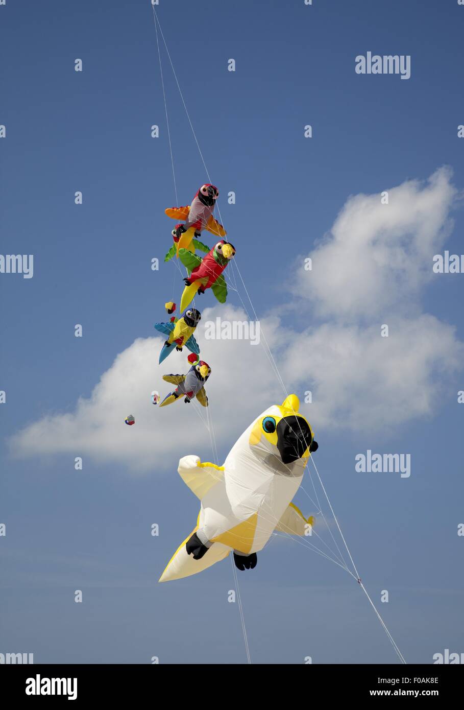 Multi-coloured flags in sky on kite festival at Fano beach, Denmark ...