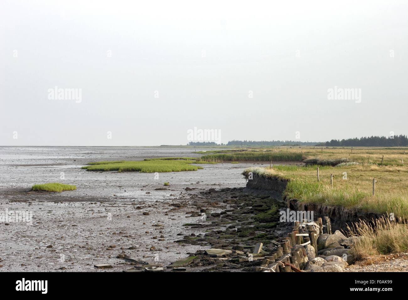 Rocky shore at Fano beach, Denmark Stock Photo - Alamy