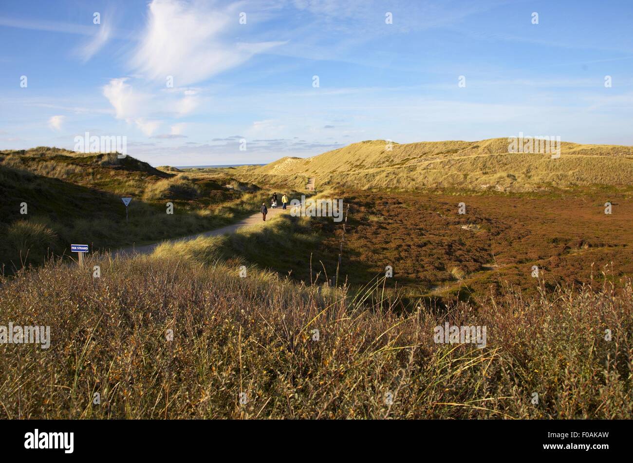 People walking in dunes on island of Sylt, Germany Stock Photo - Alamy