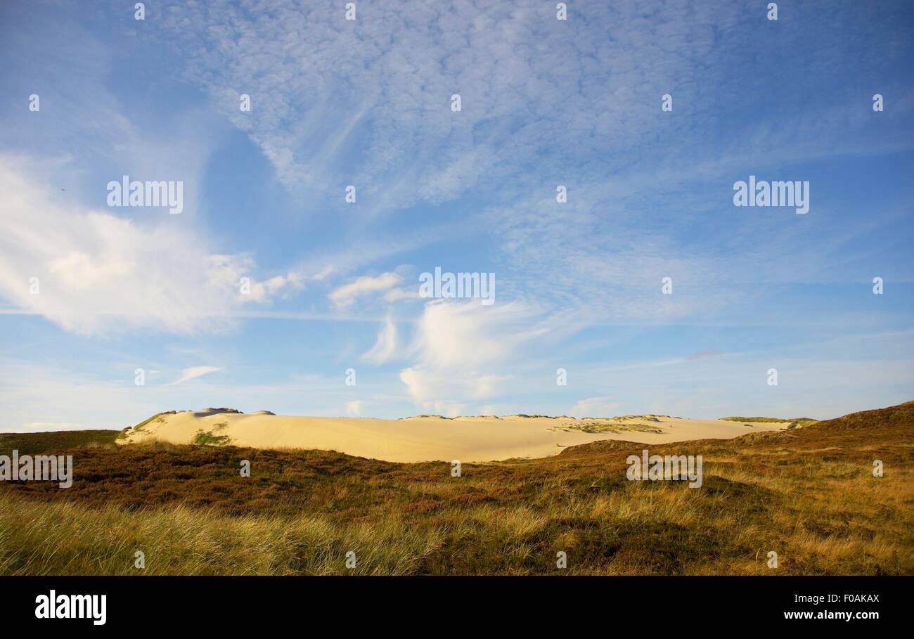 Views of dunes and blue sky on the island of Sylt, Germany Stock Photo ...