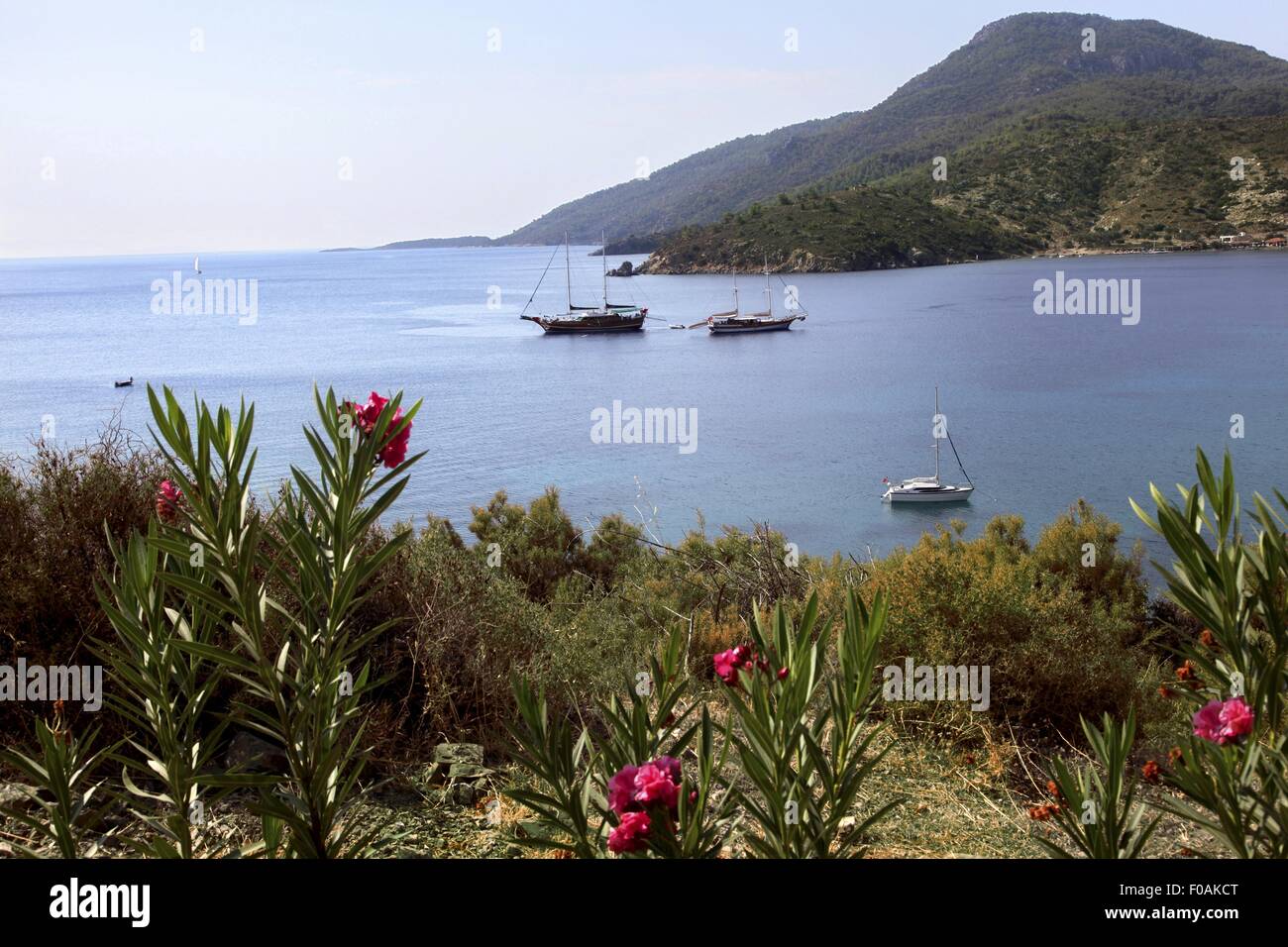 Kargi hi-res stock photography and images - Alamy