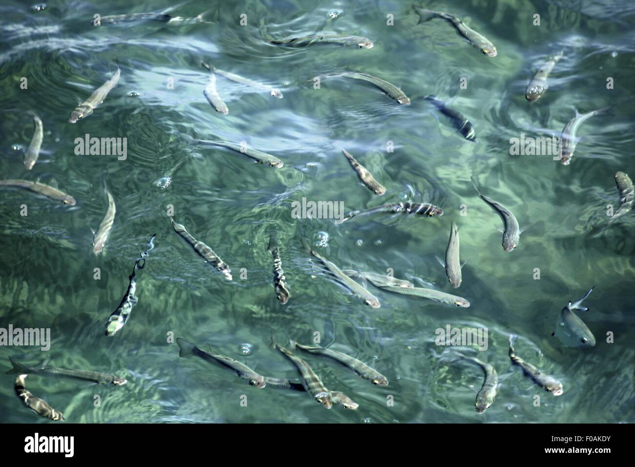 Sarigerme turkey hi-res stock photography and images - Alamy