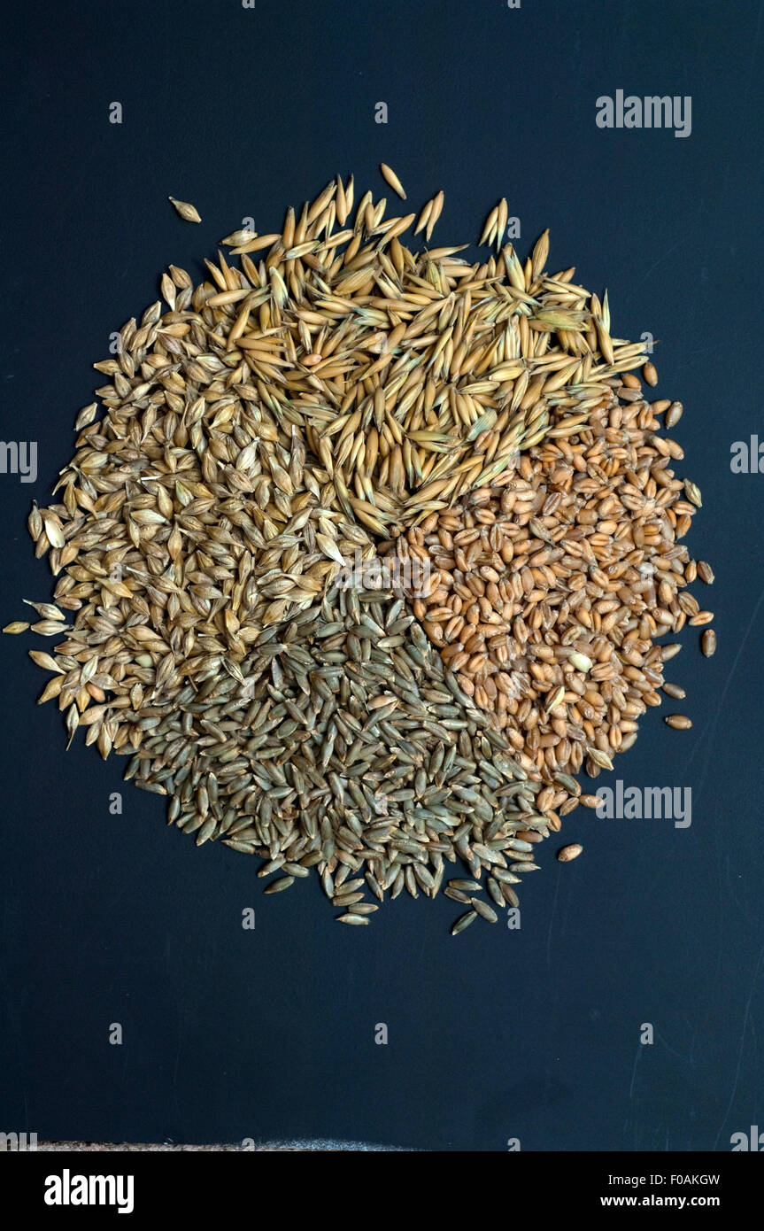 Getreide getreidekoerner hi-res stock photography and images - Alamy