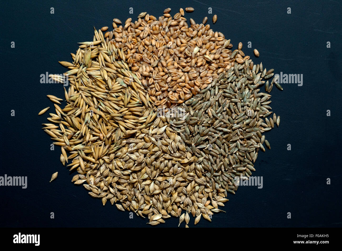 Getreidesorten; Getreide; Getreidekoerner Stock Photo - Alamy