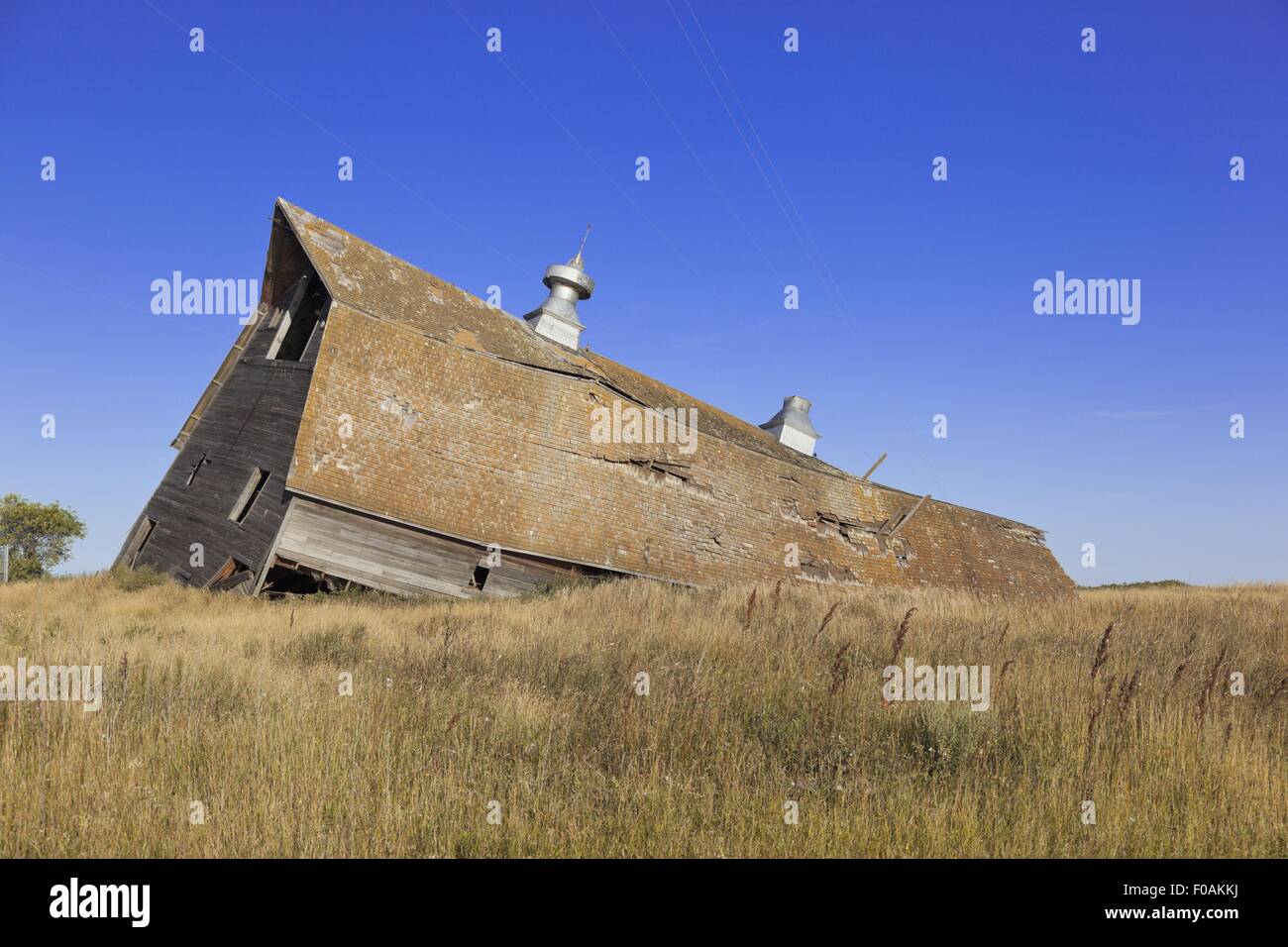 Ruin farmers house in hi-res stock photography and images - Alamy