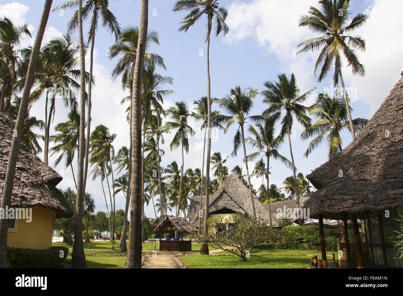 Coconut trees and thatched houses in Zanzibar Island, Tanzania, East ...