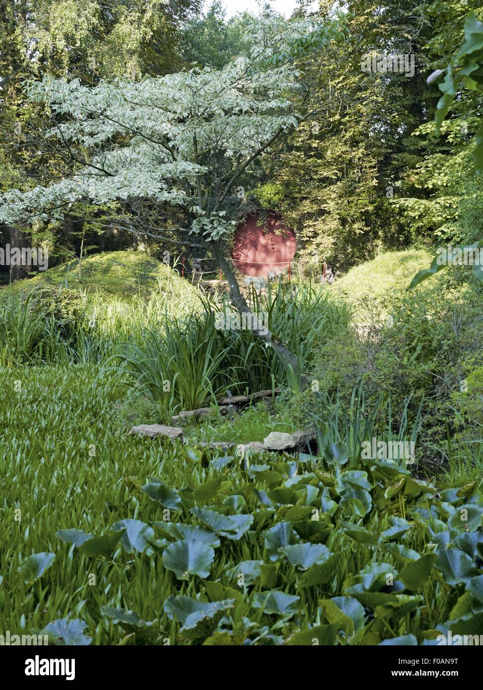 View of Castle Park and Botanical Garden with Wasseraloe Stock Photo ...