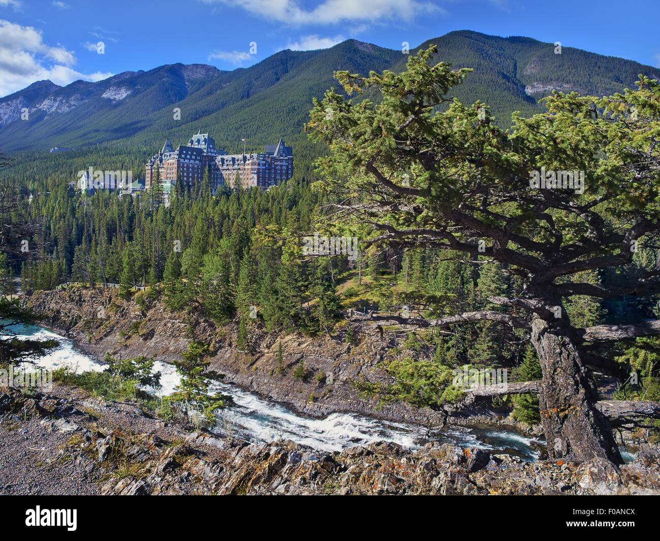 View of forest, Banff Springs Hotel and Banff National Park, Alberta ...