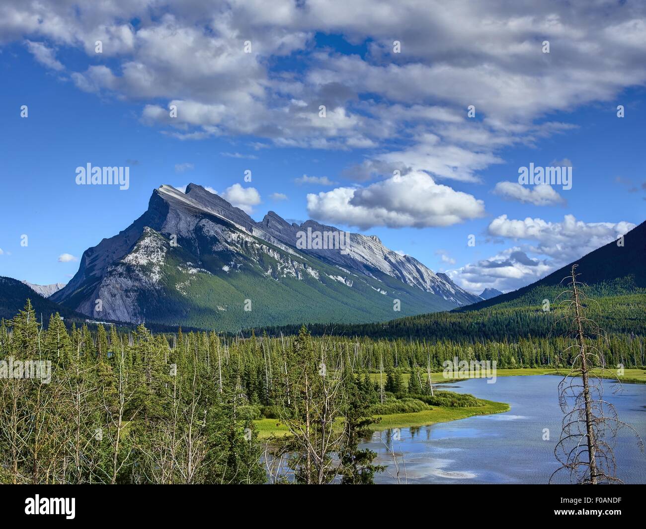 View of Mount Rundle through Banff National Park, Alberta, Canada Stock ...