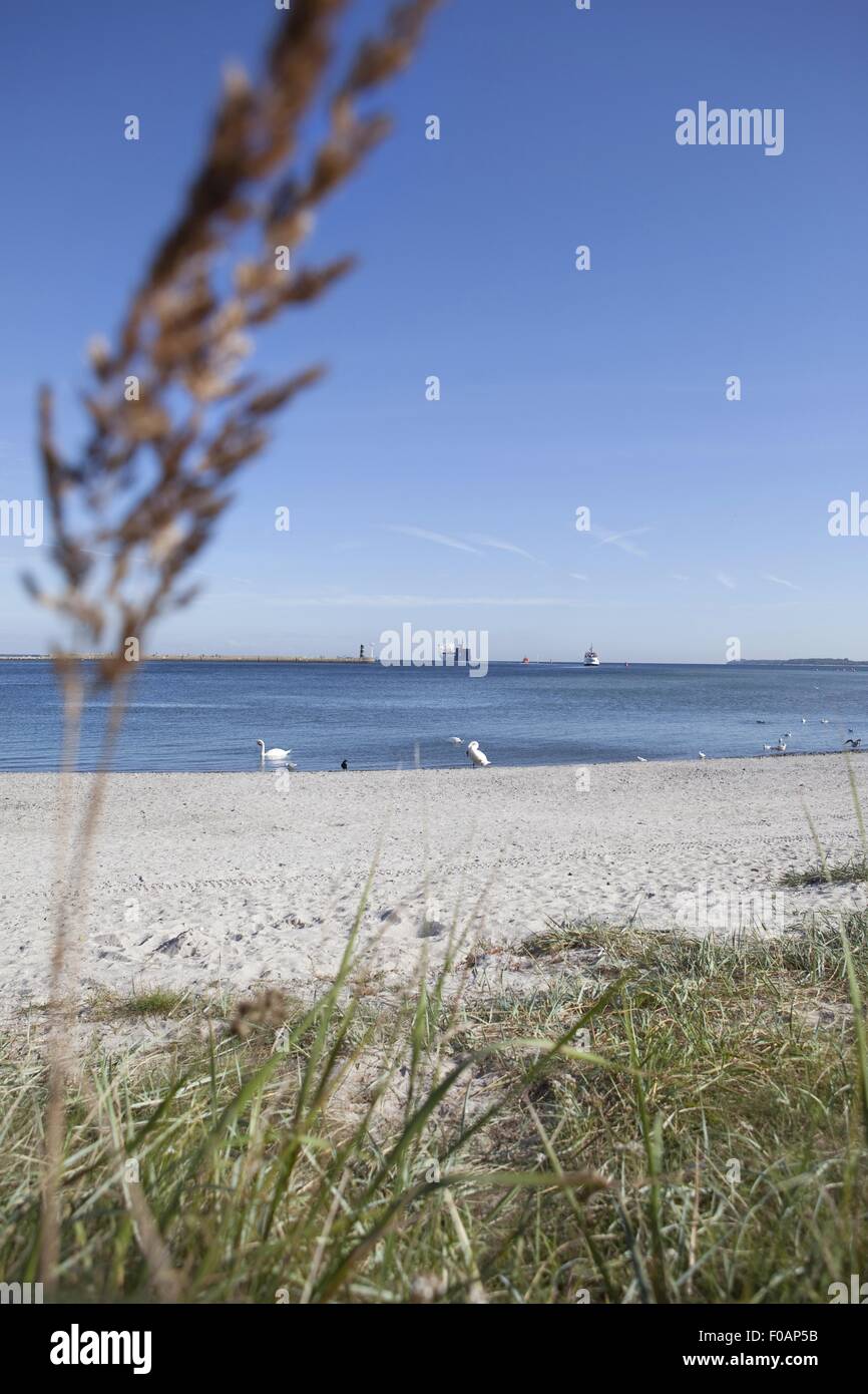 Priwall shore hi-res stock photography and images - Alamy