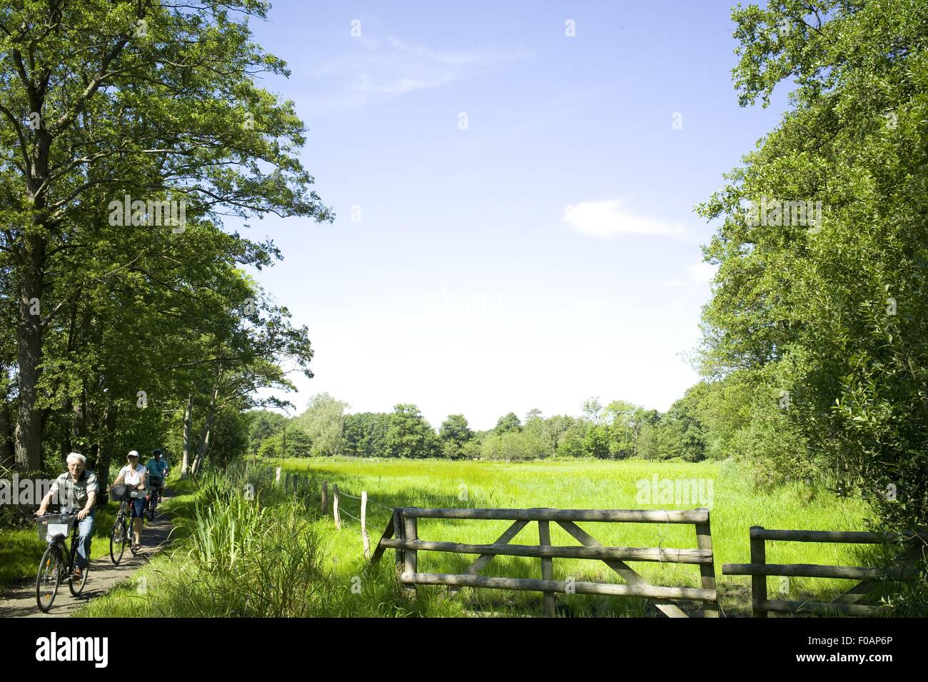 Aalbeek hi-res stock photography and images - Alamy