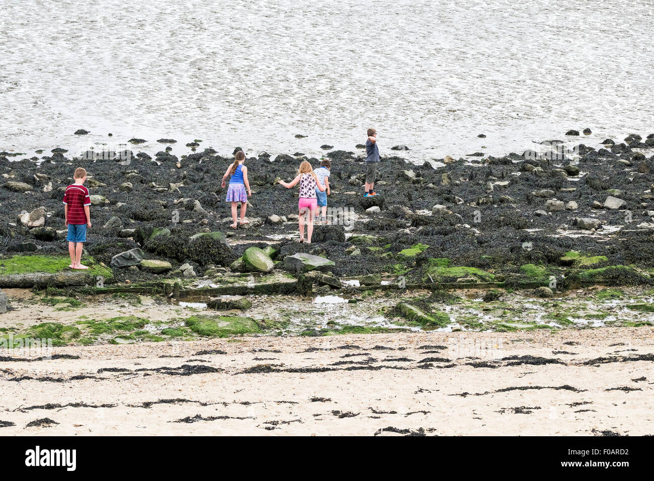 Exploring island hi-res stock photography and images - Alamy