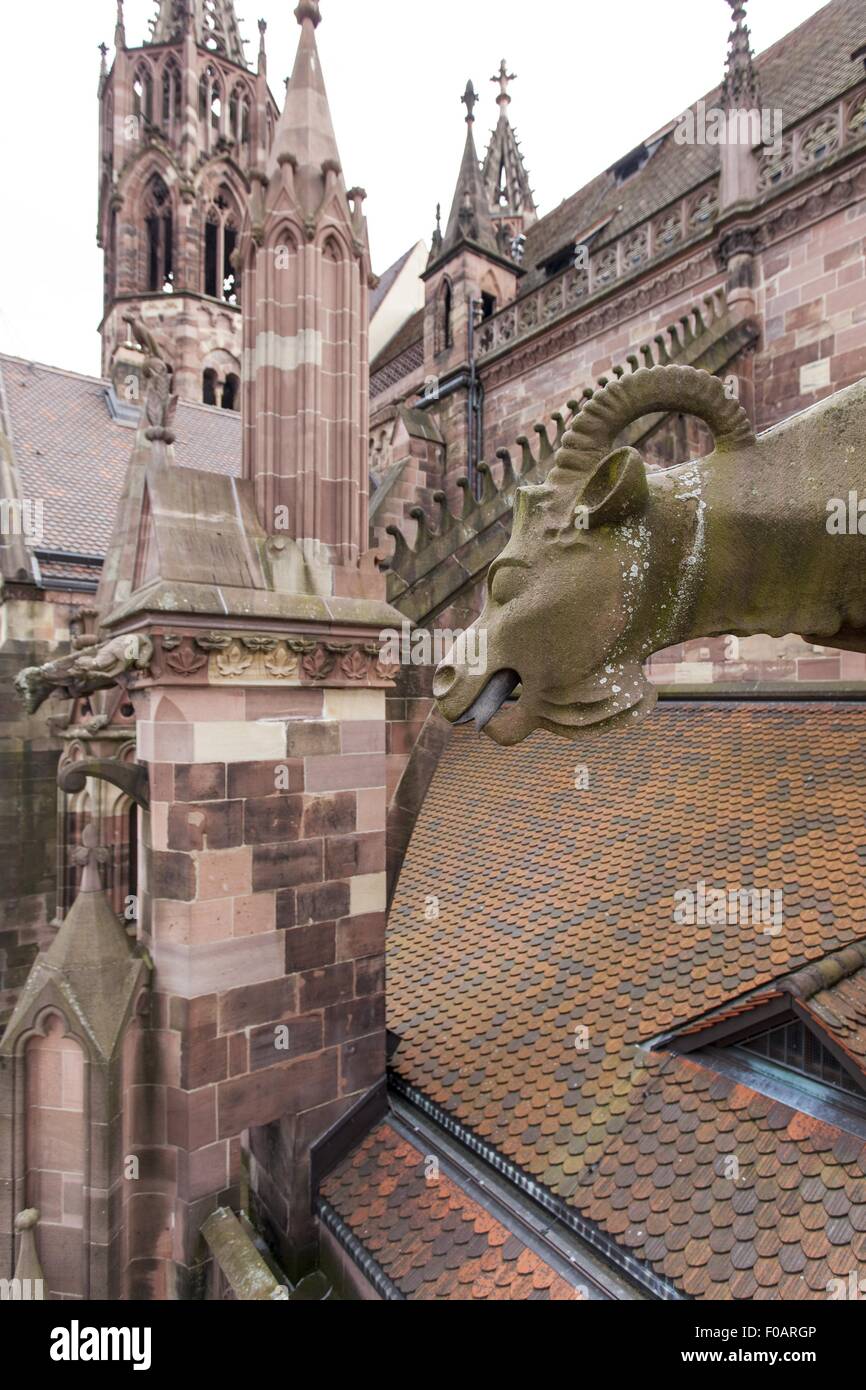 Figure of a gargoyle at Muenster in Freiburg, Germany Stock Photo - Alamy