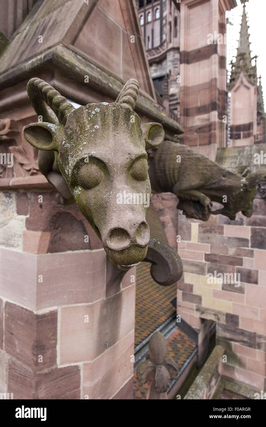 Figure of a gargoyle at Muenster in Freiburg, Germany Stock Photo - Alamy