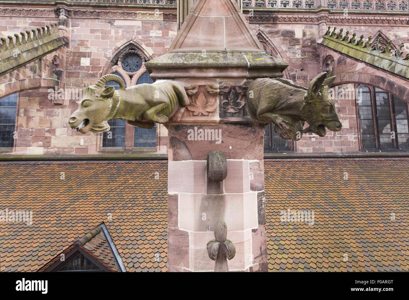 Figure of a gargoyle at Muenster in Freiburg, Germany Stock Photo - Alamy