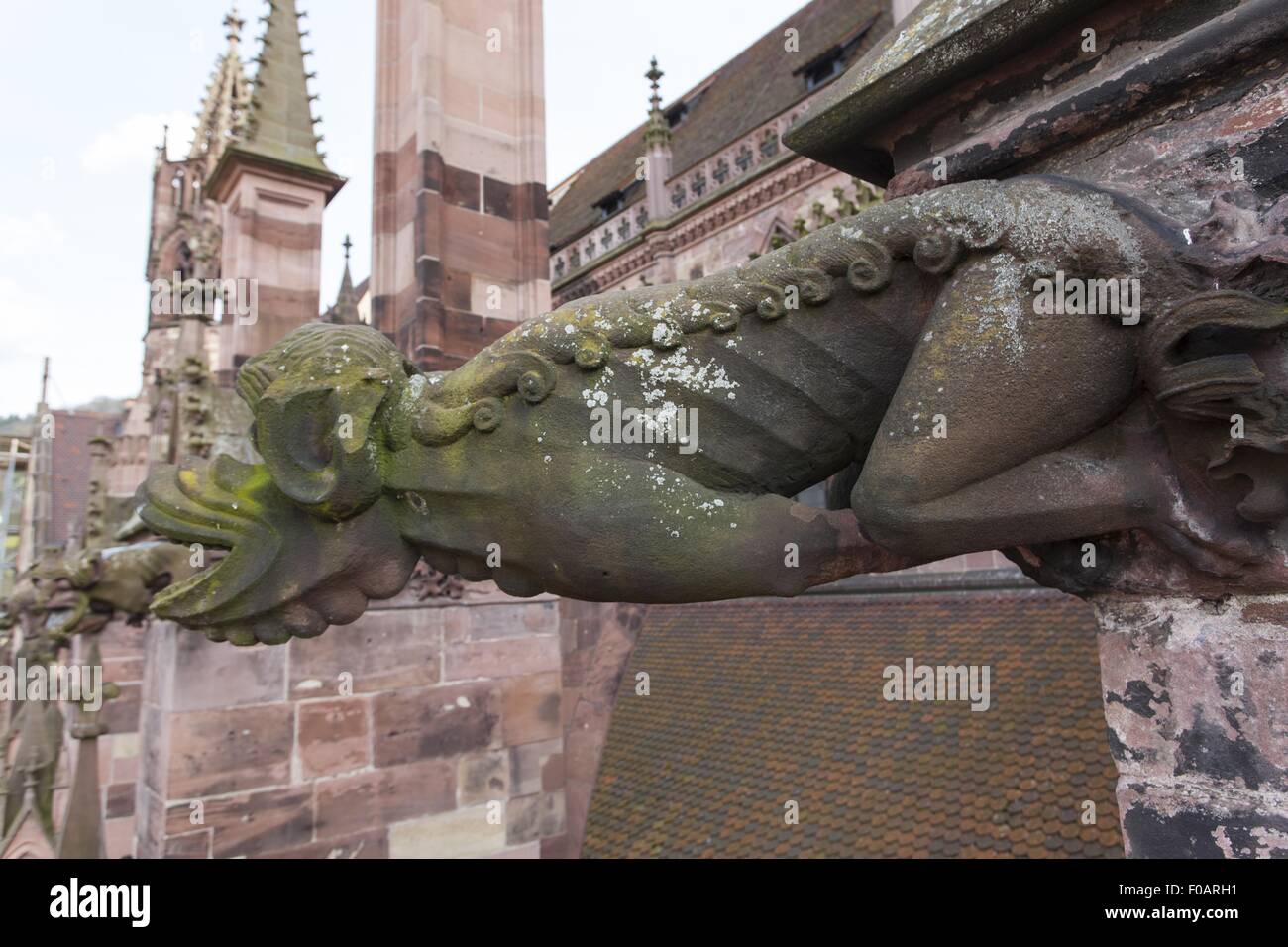 Figure of a gargoyle at Muenster in Freiburg, Germany Stock Photo - Alamy