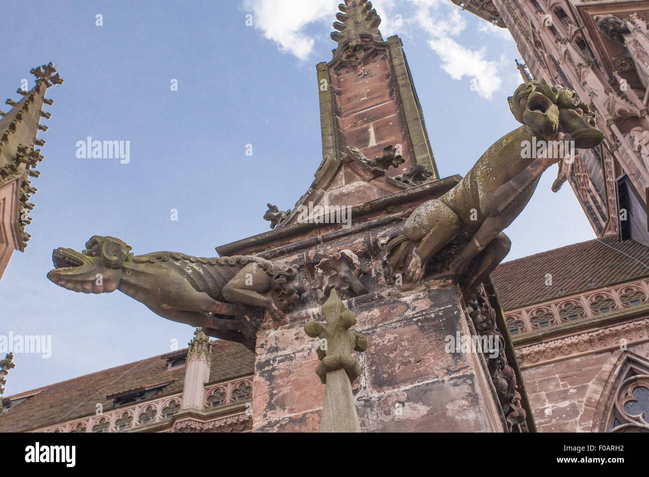 Figure of a gargoyle at Muenster in Freiburg, Germany Stock Photo - Alamy